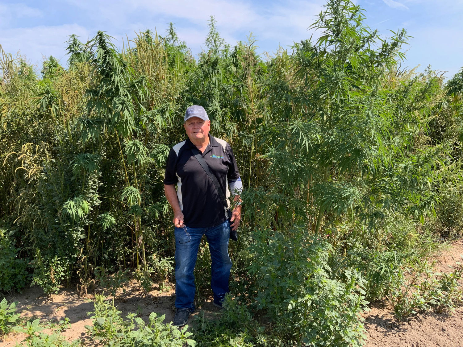Research – Native Prairie Hemp Products